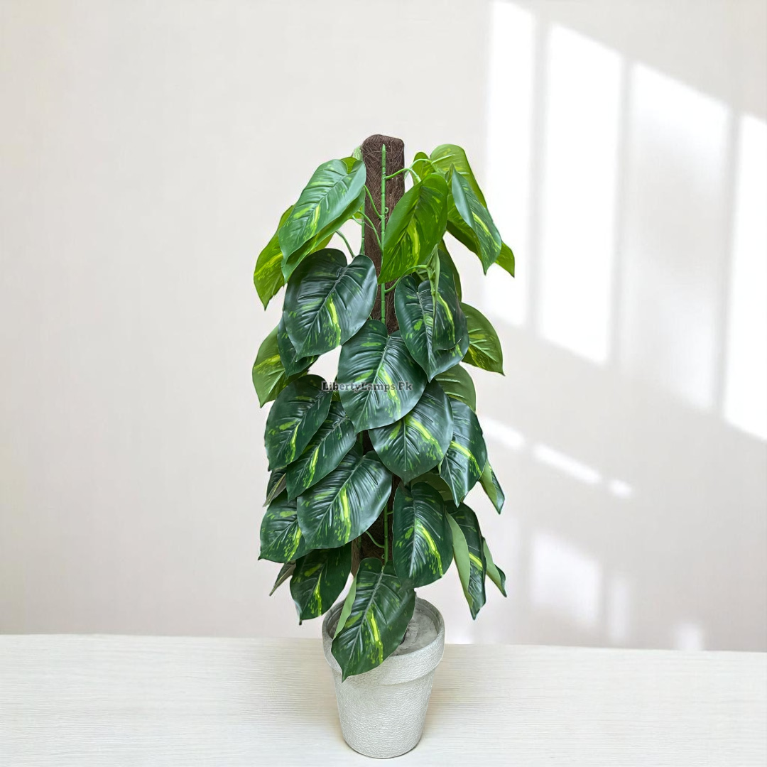 Money Bail Plant – 4 Feet | Liberty Lamps – LIBERTY LAMPS